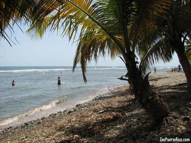 ZeePuertoRico.com - Guardarraya Beach